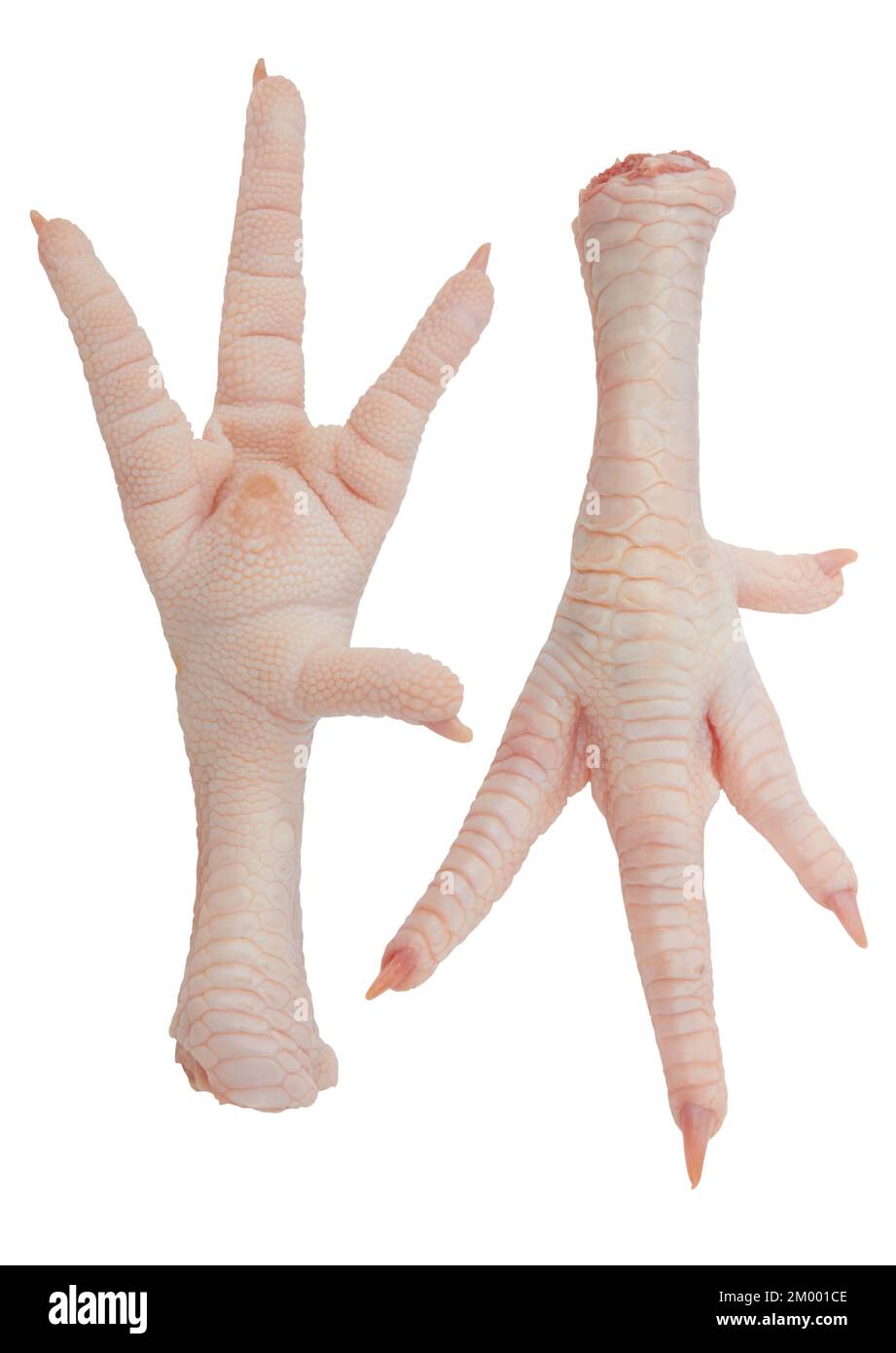 Raw chicken feet isolated on white background Stock Photo - Alamy
