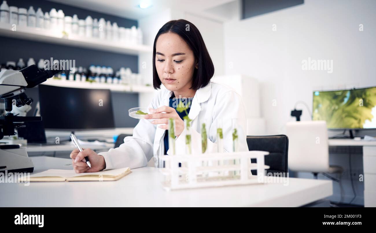 Scientist research in nature hi-res stock photography and images - Alamy