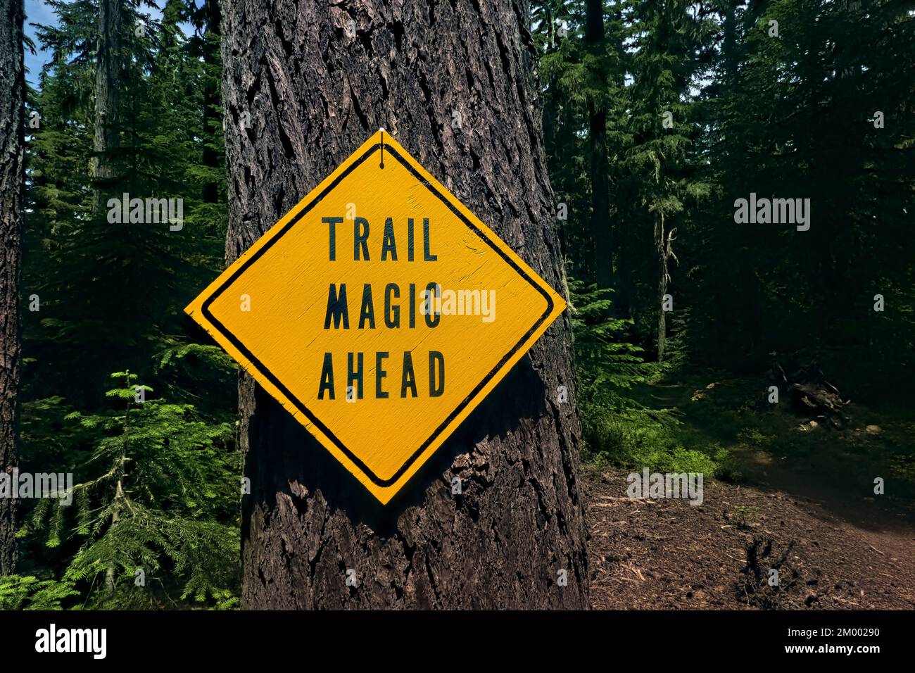 Trail magic signs on the Pacific Crest Trail, Oregon, USA Stock Photo ...