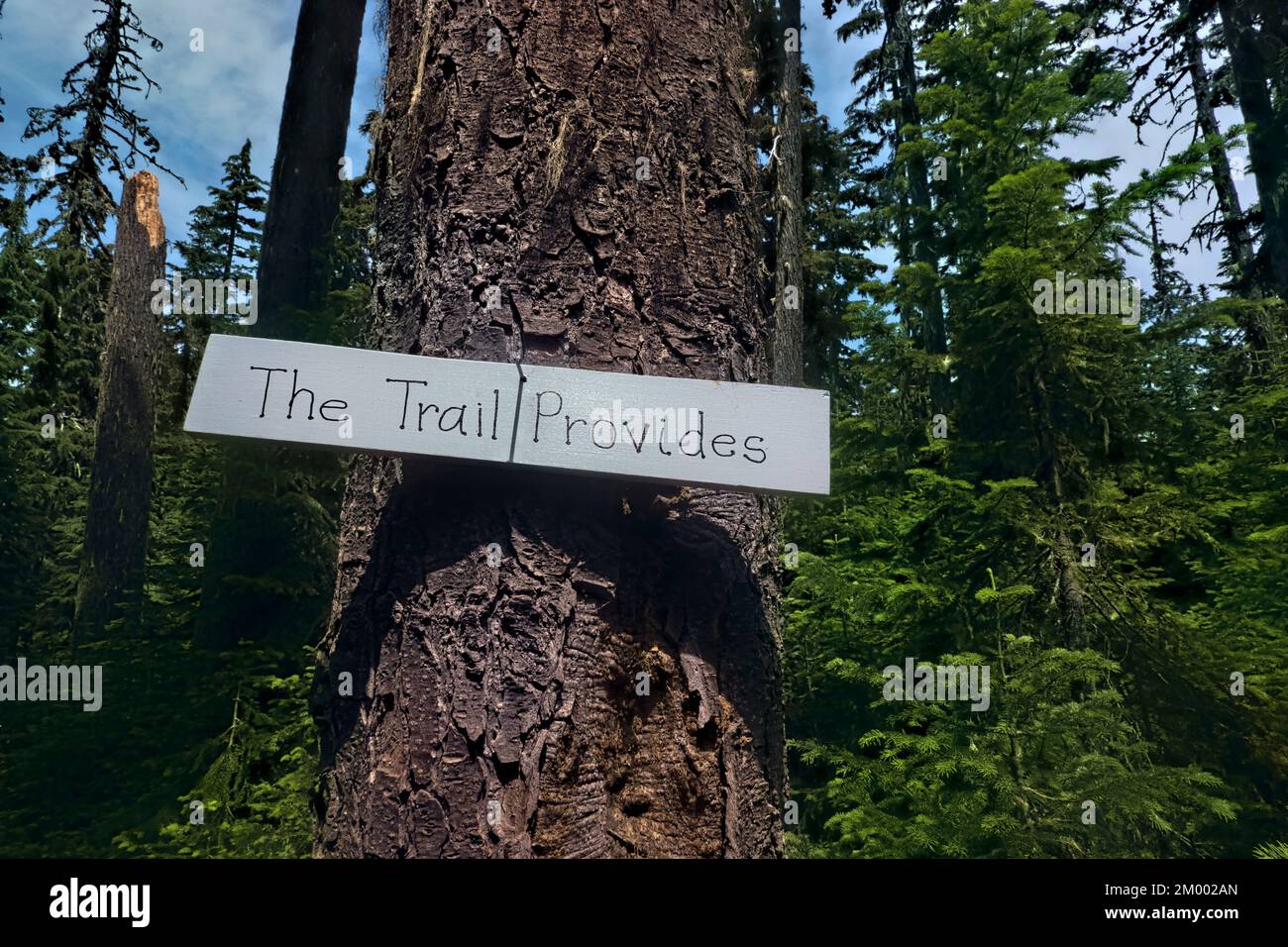 Trail magic signs on the Pacific Crest Trail, Oregon, USA Stock Photo ...
