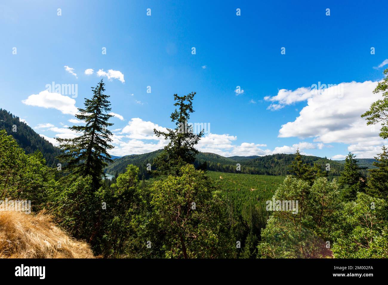 amazing landscapes opens from the top of the rainier Stock Photo - Alamy