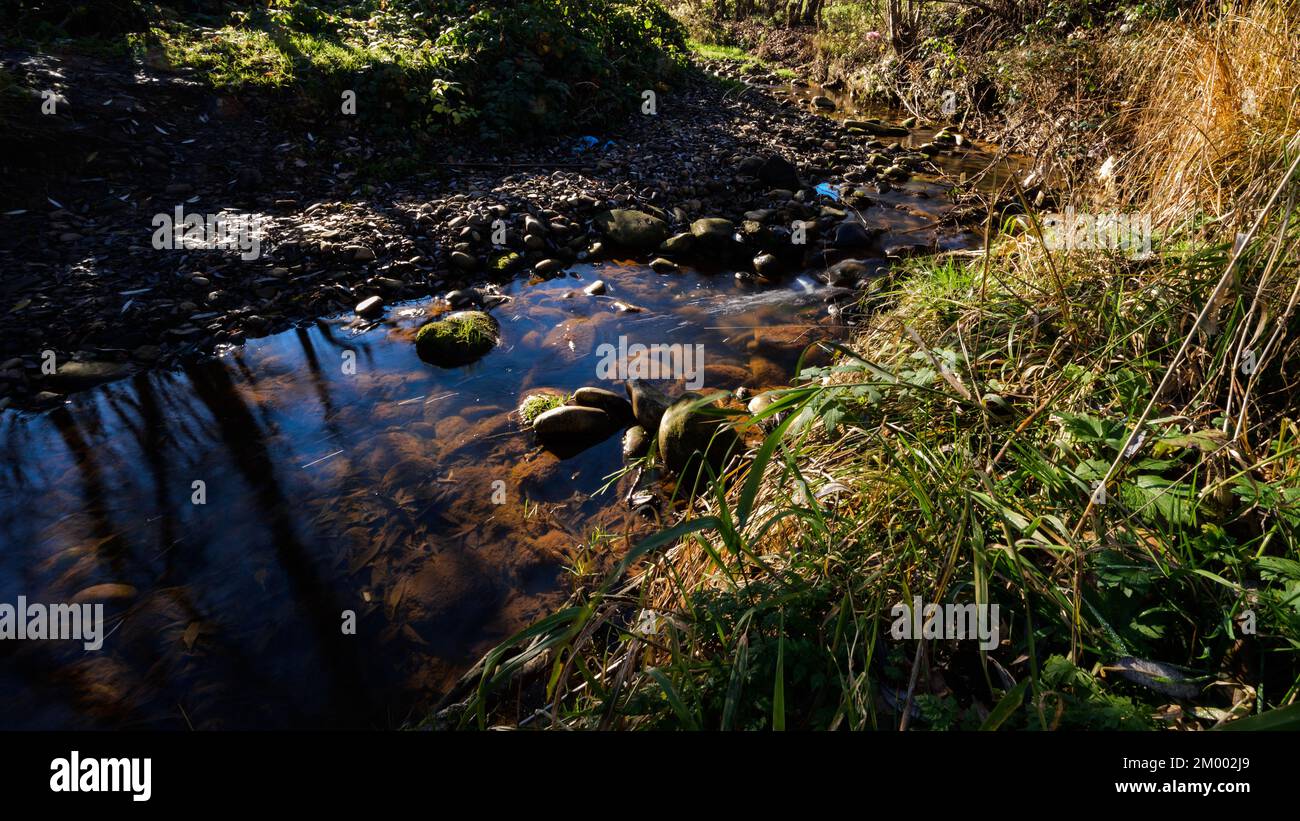 A small and clean stream of water in nature, the sun's rays illuminate ...