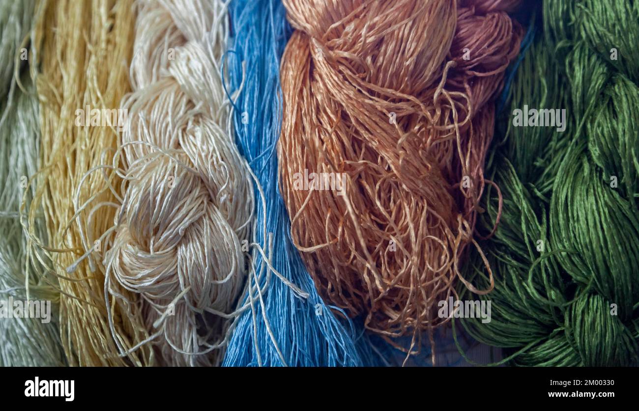 Industrial turkey production in hi-res stock photography and images - Alamy