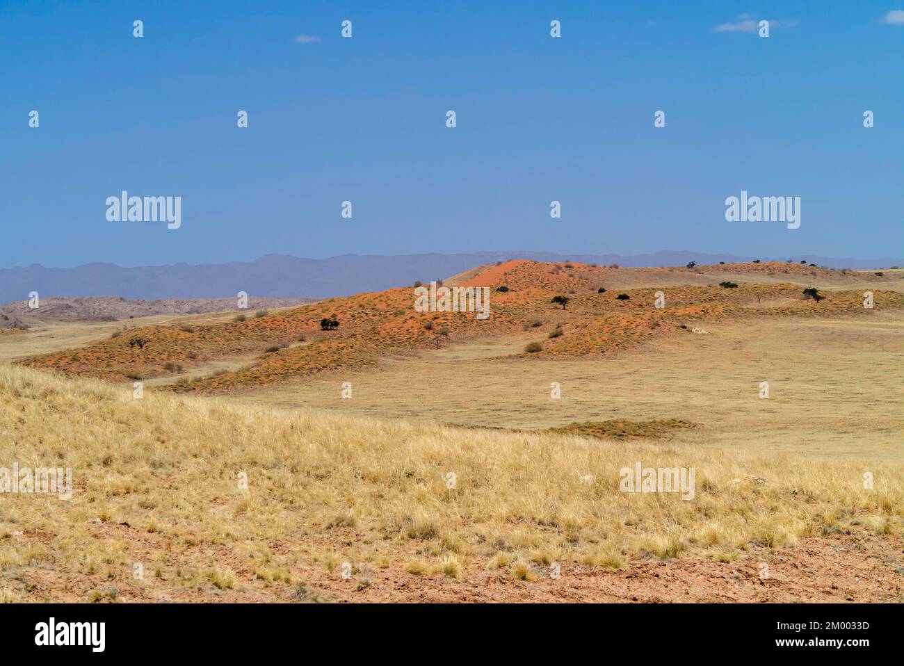 C14 hi-res stock photography and images - Alamy