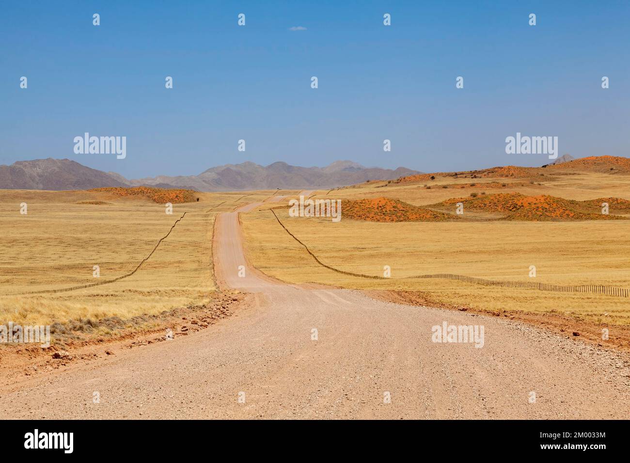 Gravel road in the namib desert hi-res stock photography and images - Alamy