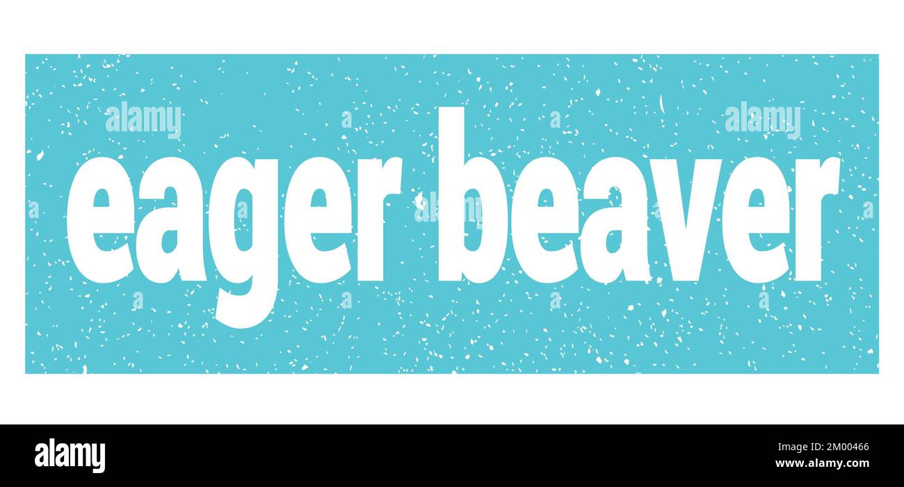 Beaver logo hi-res stock photography and images - Alamy