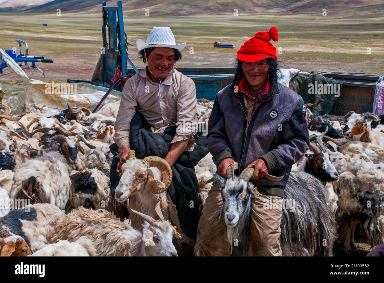 Tibet people with sheeps hi-res stock photography and images - Alamy