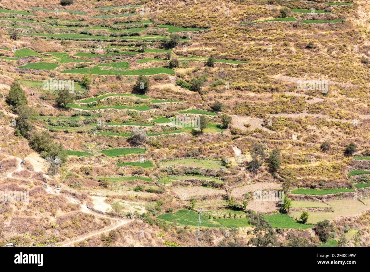 Terraces, terraced fields on the mountainside, San Miguel de Viso ...