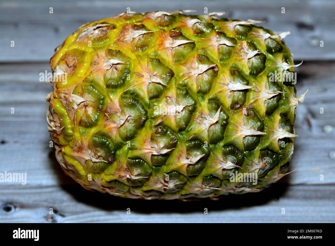 The Pineapple (Ananas comosus), a tropical plant with an edible fruit ...