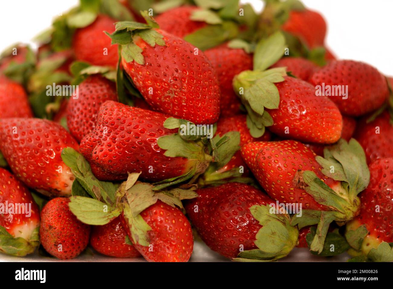 Pile of fresh strawberries fruit, the garden strawberry is a widely ...