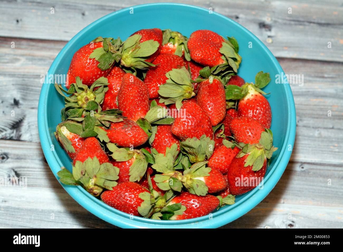 Pile of fresh strawberries fruit, the garden strawberry is a widely ...