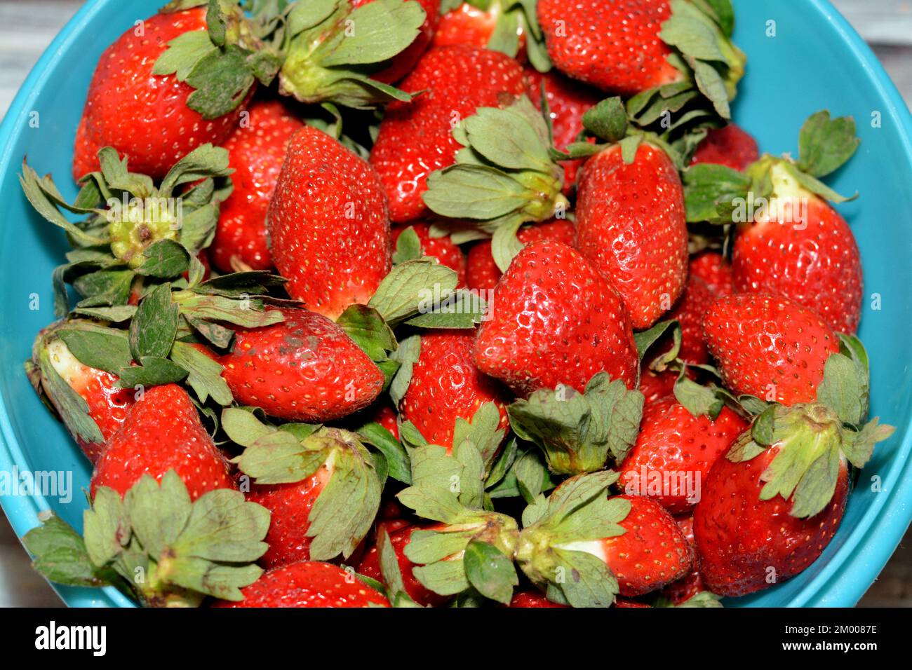 Pile of fresh strawberries fruit, the garden strawberry is a widely ...