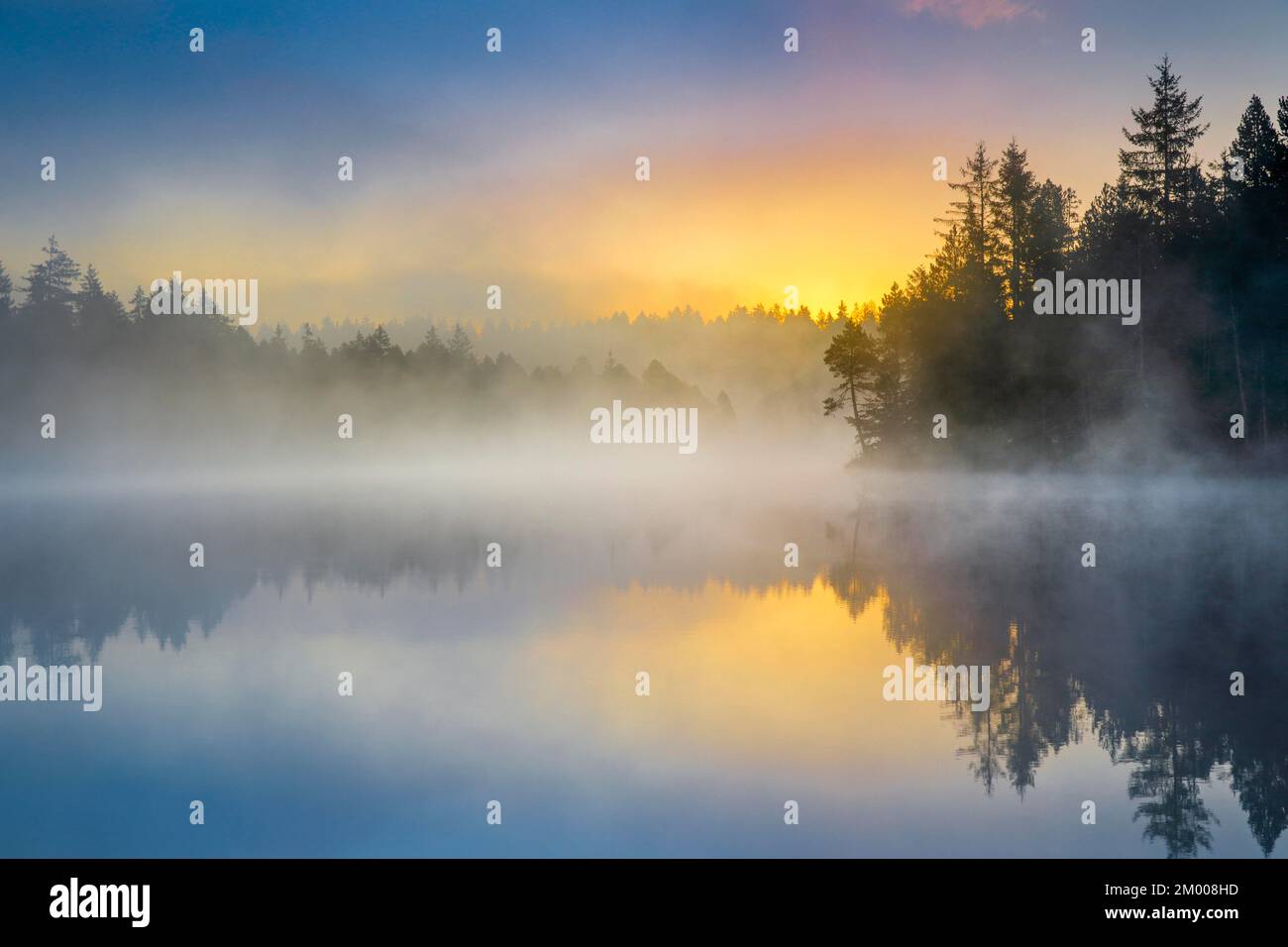 Atmospheric sunrise with wafts of mist over the mirror-smooth moorland ...