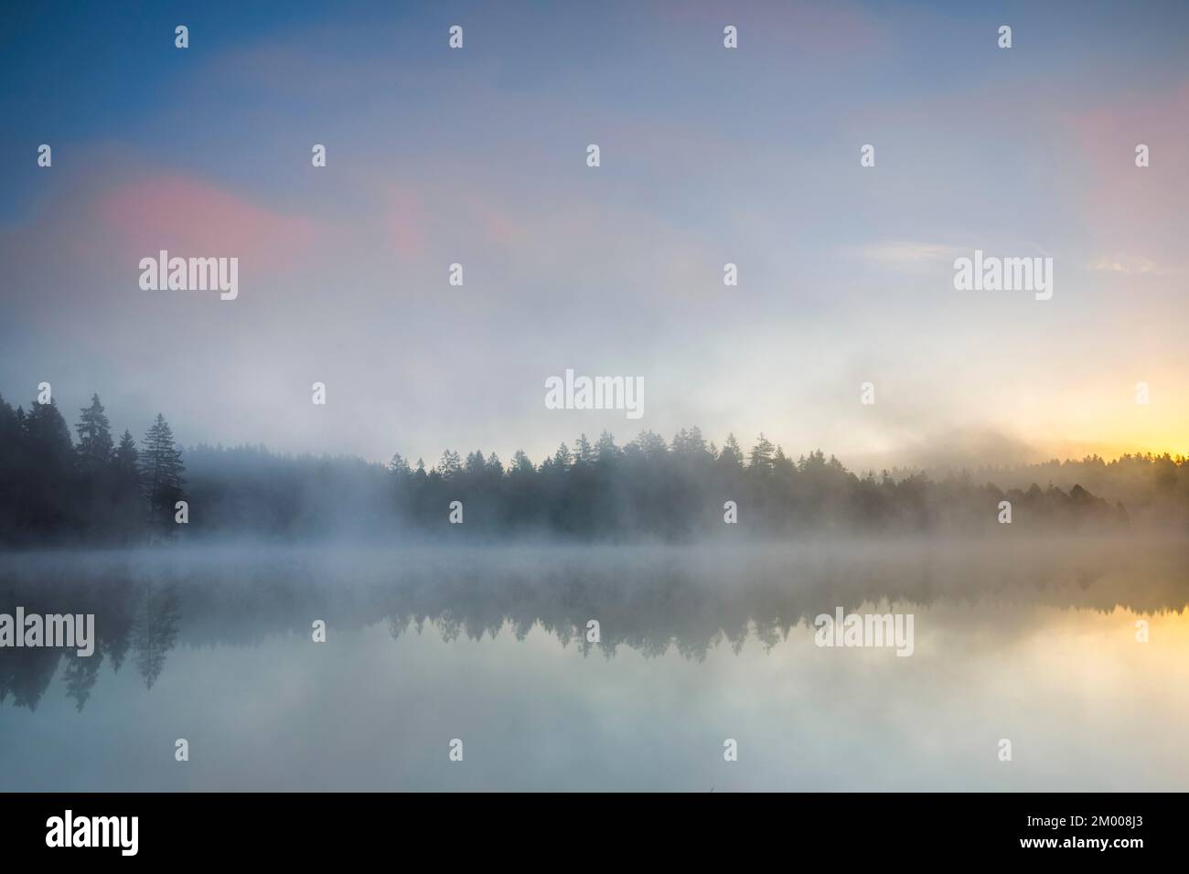 Atmospheric dawn with wafts of mist over the mirror-smooth moorland ...