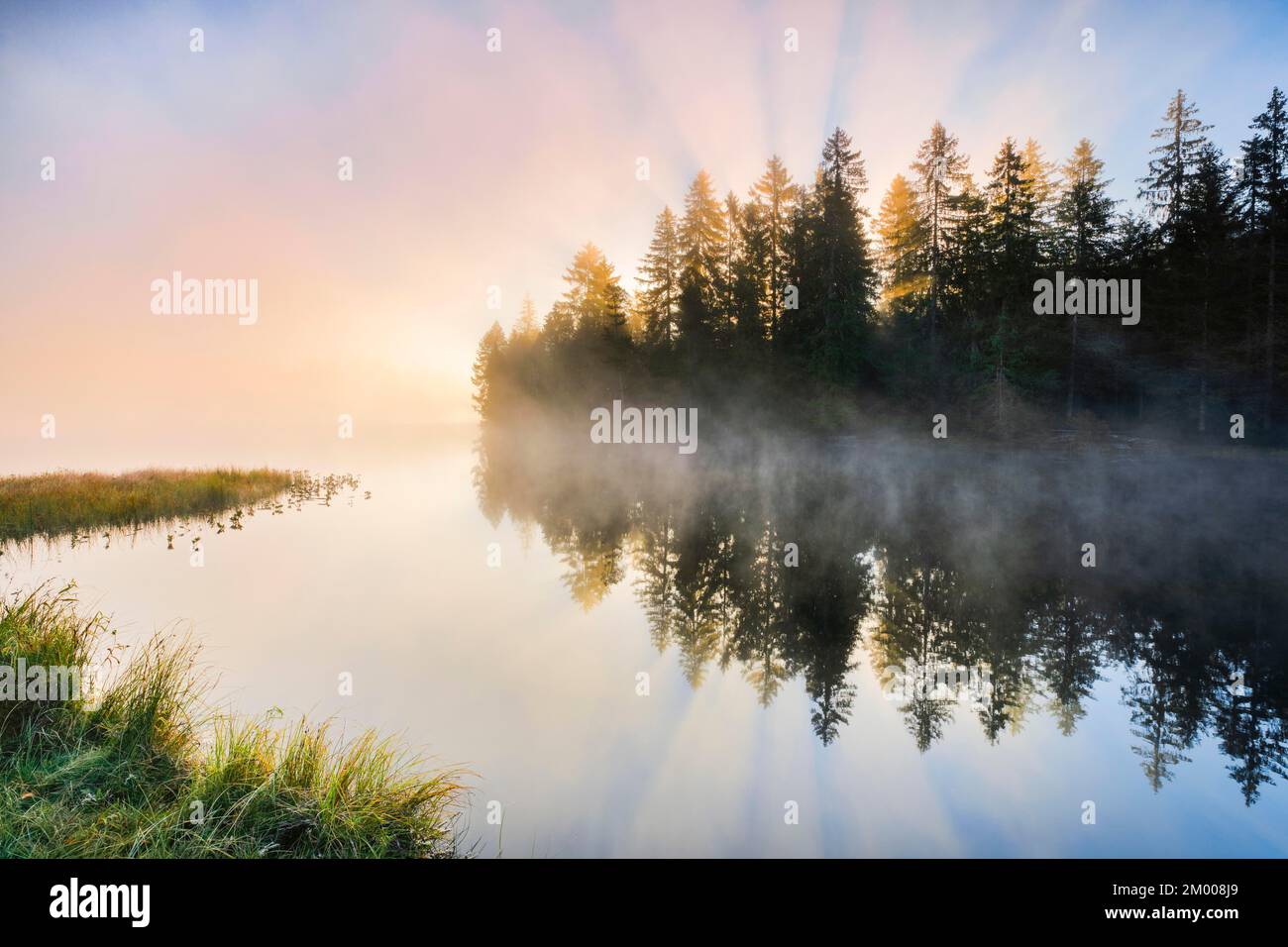 Sunrise over the mirror-smooth mire lake Étang de la Gruère in the ...