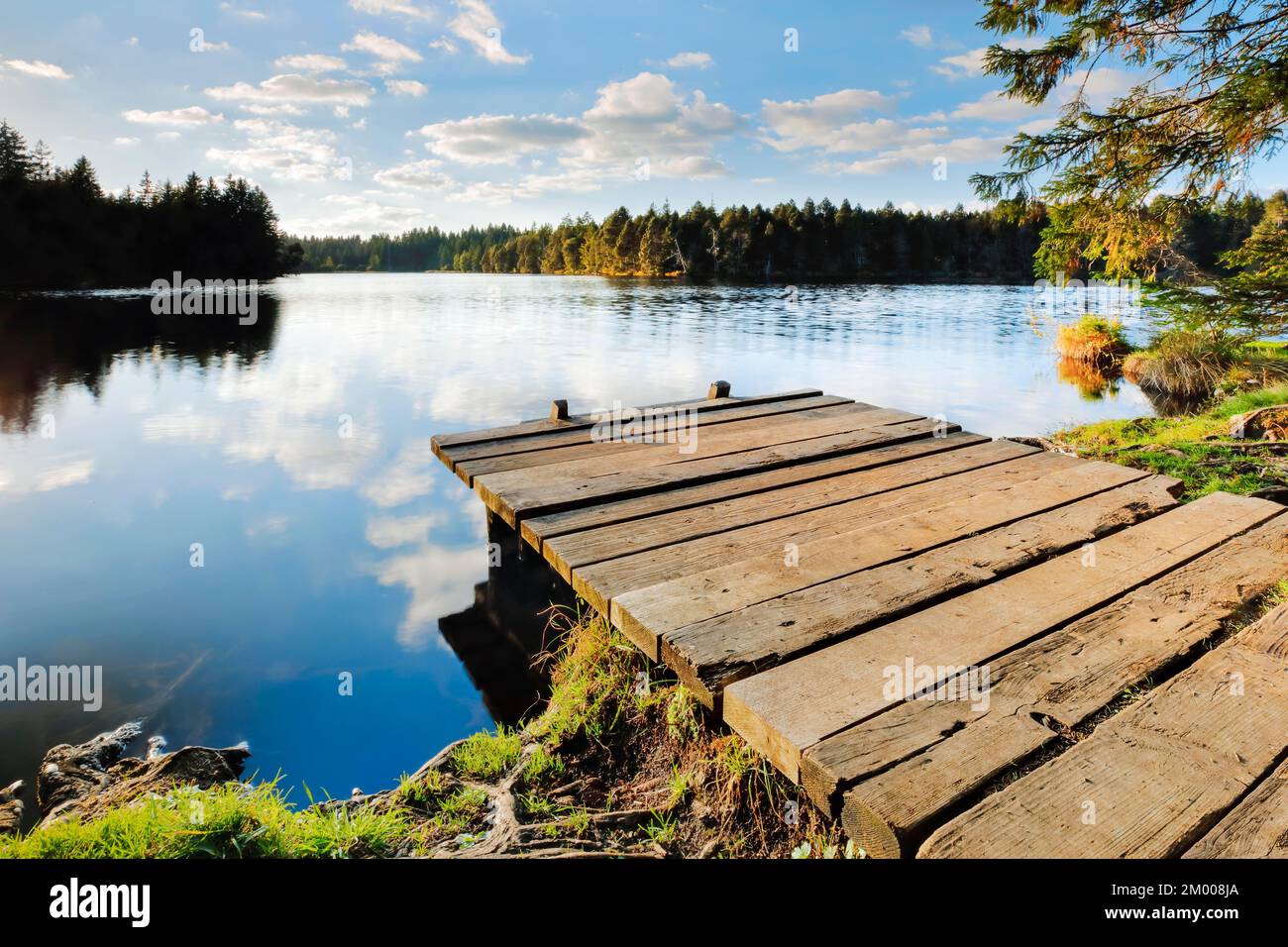 Bathing jetty on the shore of the mire lake Étang de la Gruère in the ...