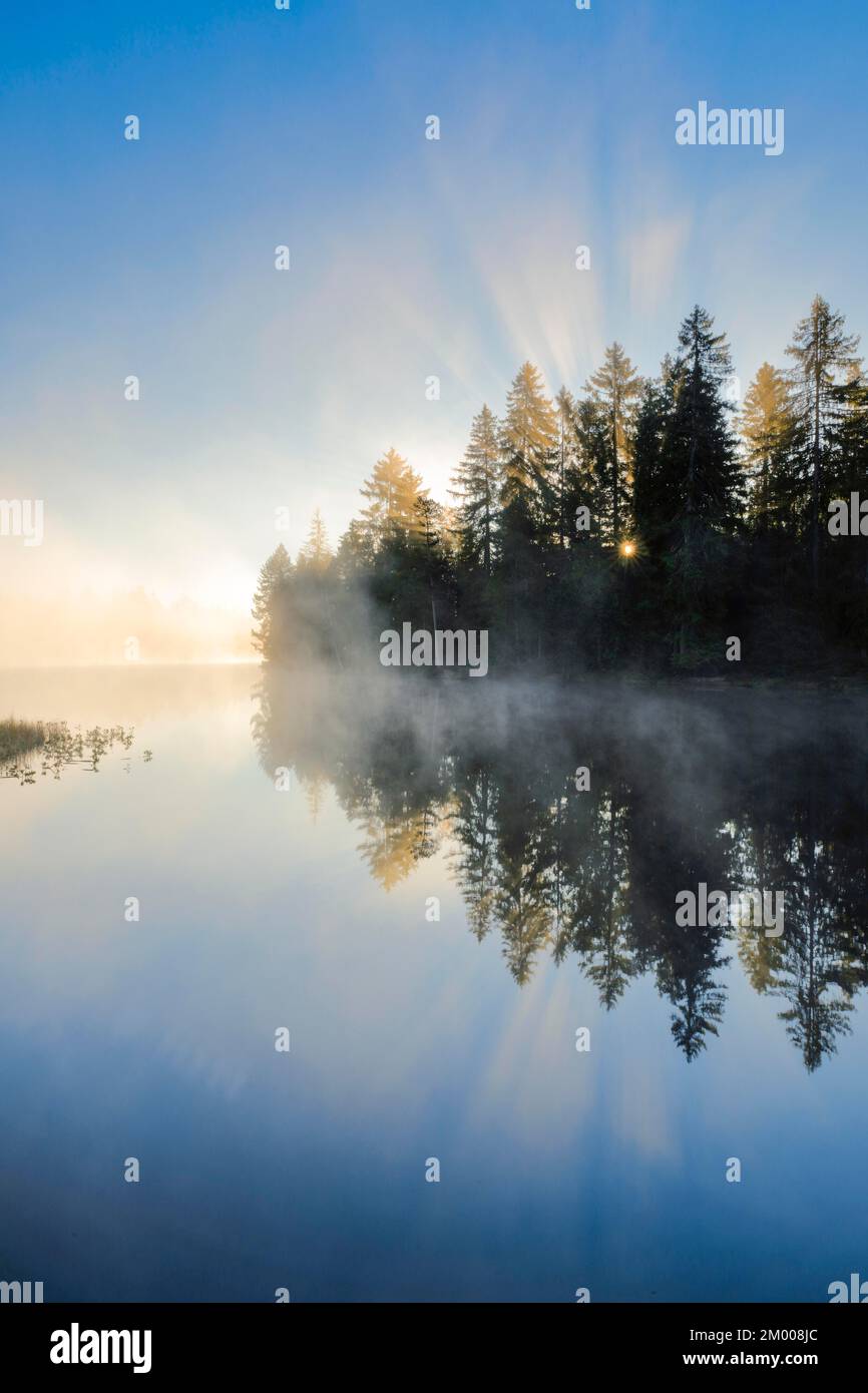 Sunrise over the mirror-smooth mire lake Étang de la Gruère in the ...