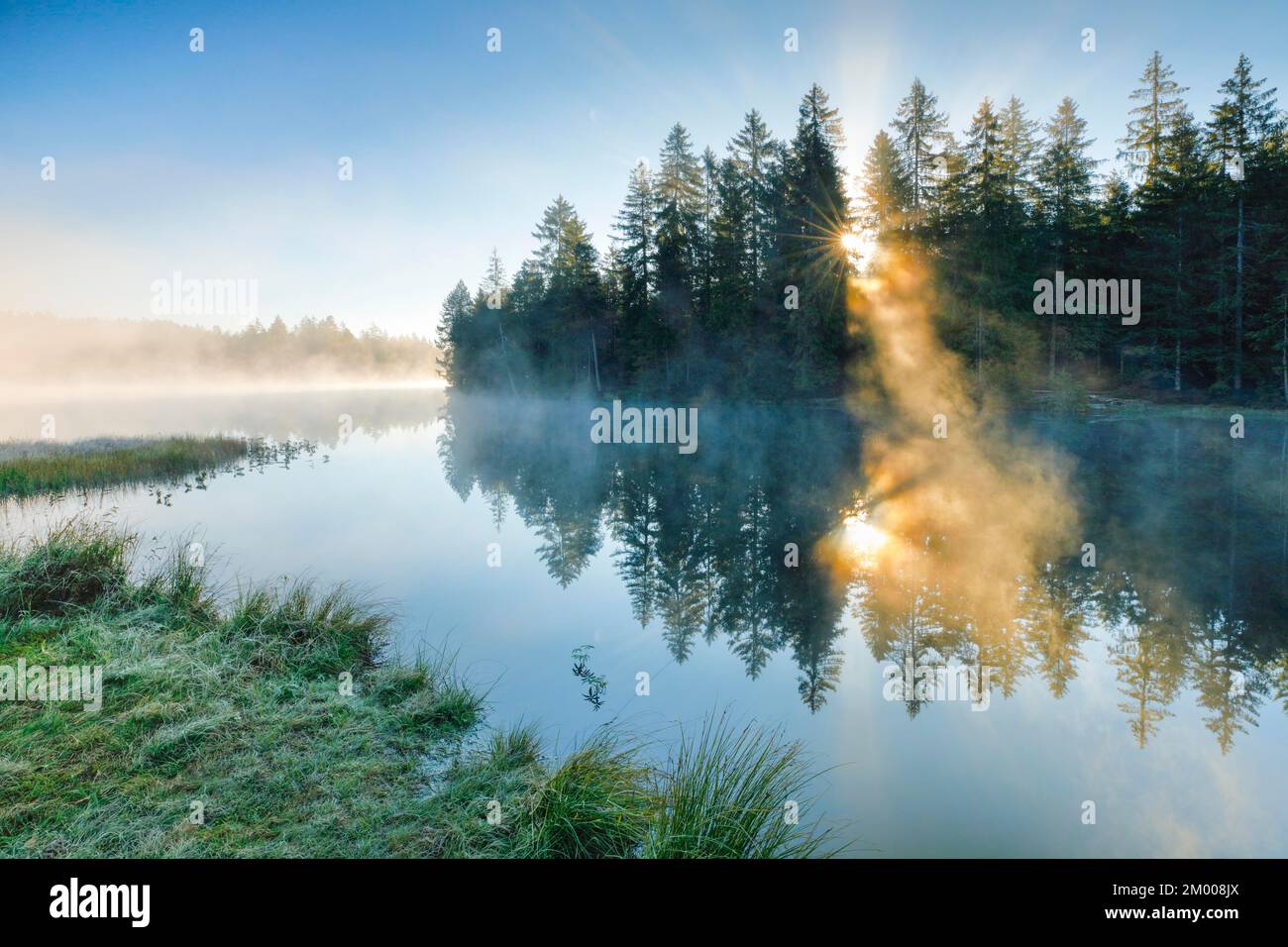 Rays of sunshine make their way through forest and fog at the mirror ...