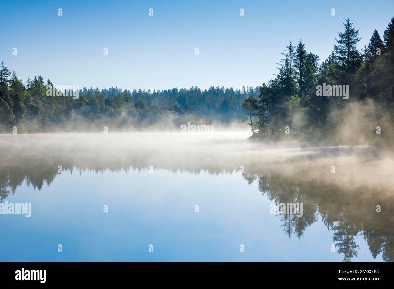Pines and spruces line the shore of the mirror-smooth Étang de la ...