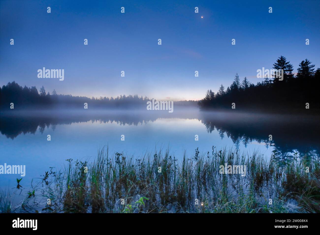 Crescent moon over the mirror-smooth mire lake Étang de la Gruère in ...