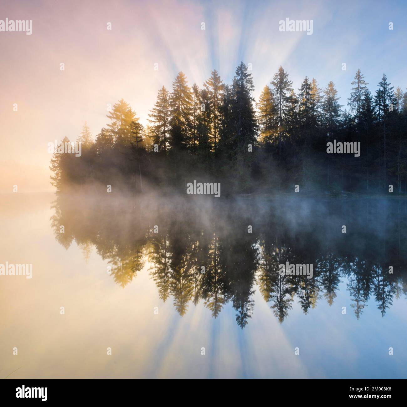 Sunrise over the mirror-smooth mire lake Étang de la Gruère in the ...