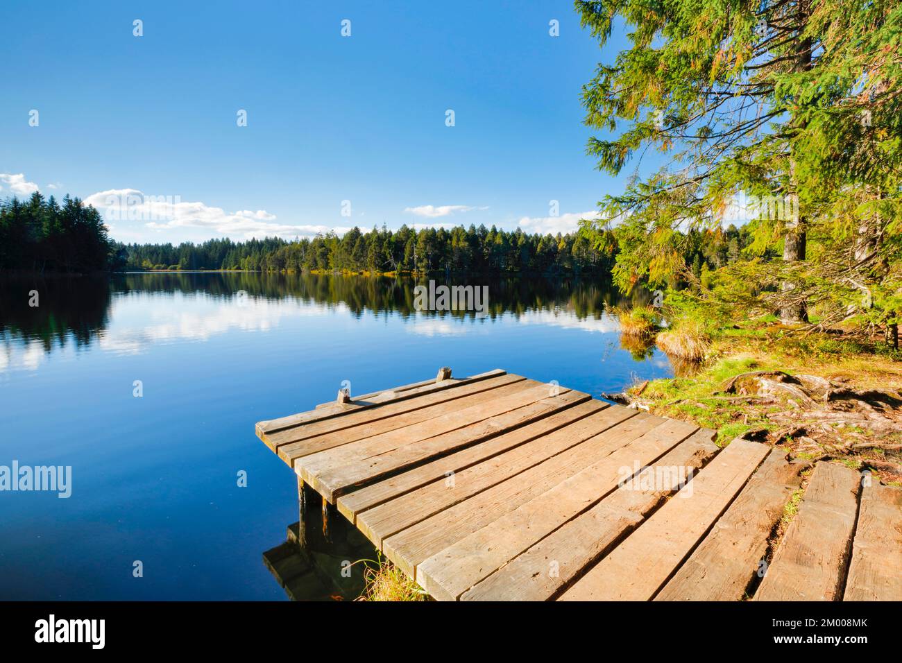 Bathing jetty on the lakeshore of the Étang de la Gruère mire lake in ...
