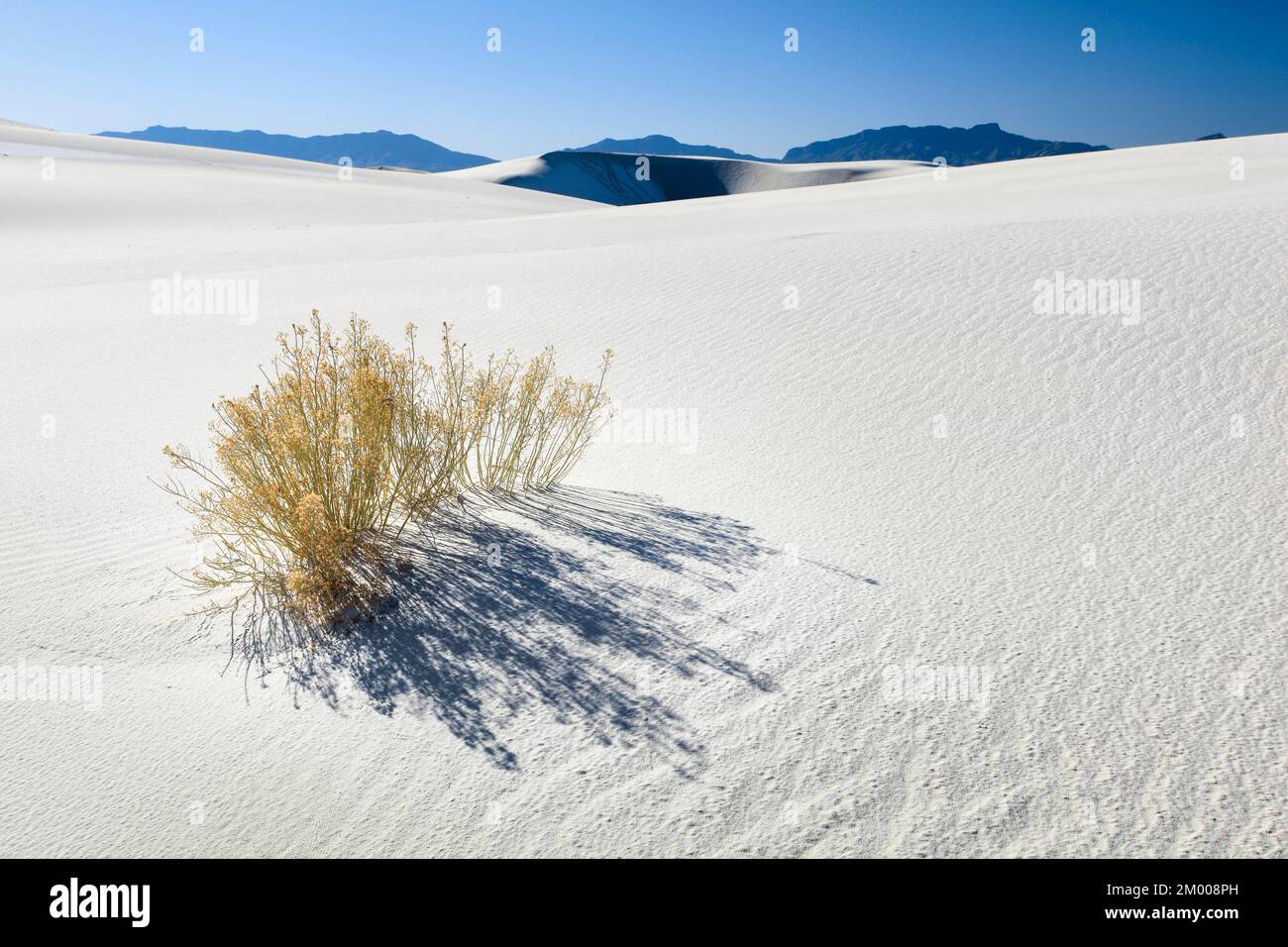 Gypsum Sand Dunes, White Sands National Monument, New Mexico, USA ...
