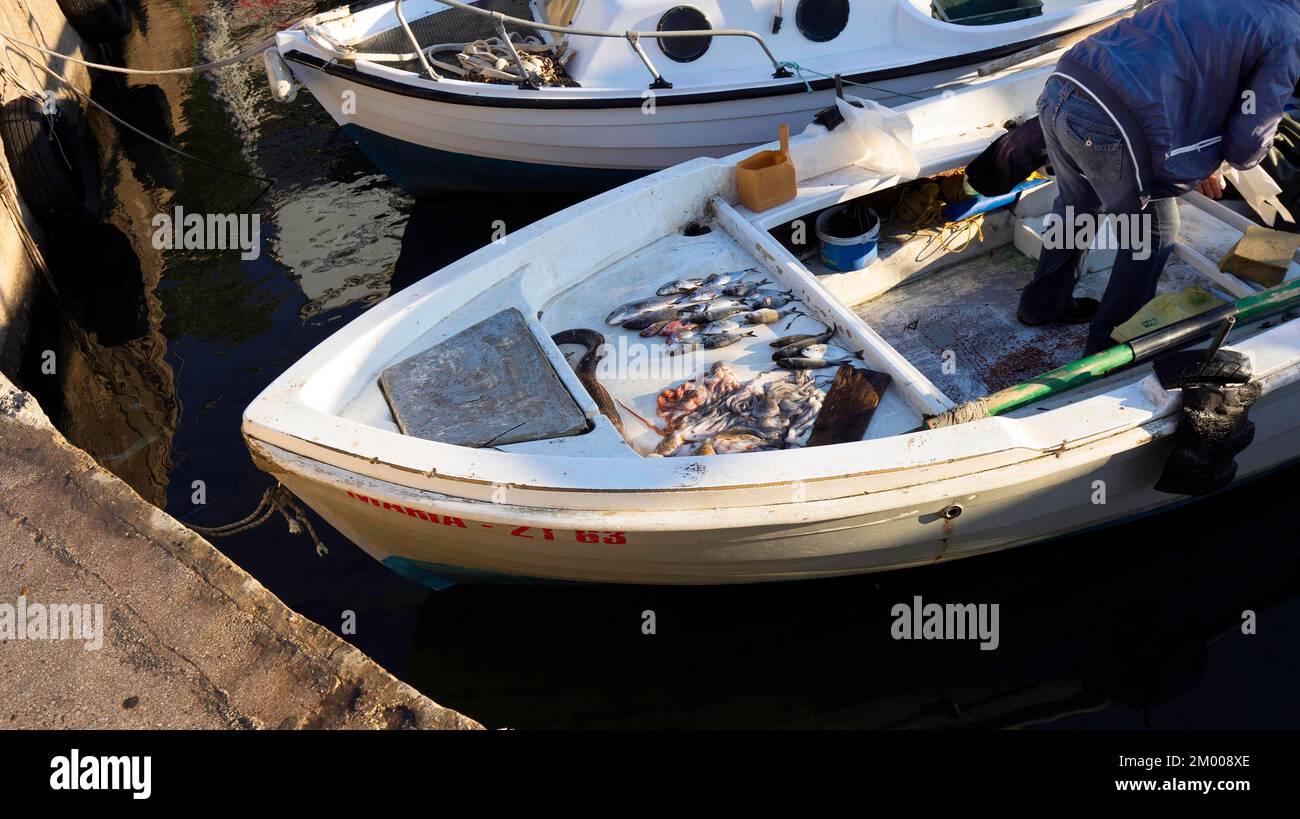 A fisherman sells his night-caught fish in the morning like white ...