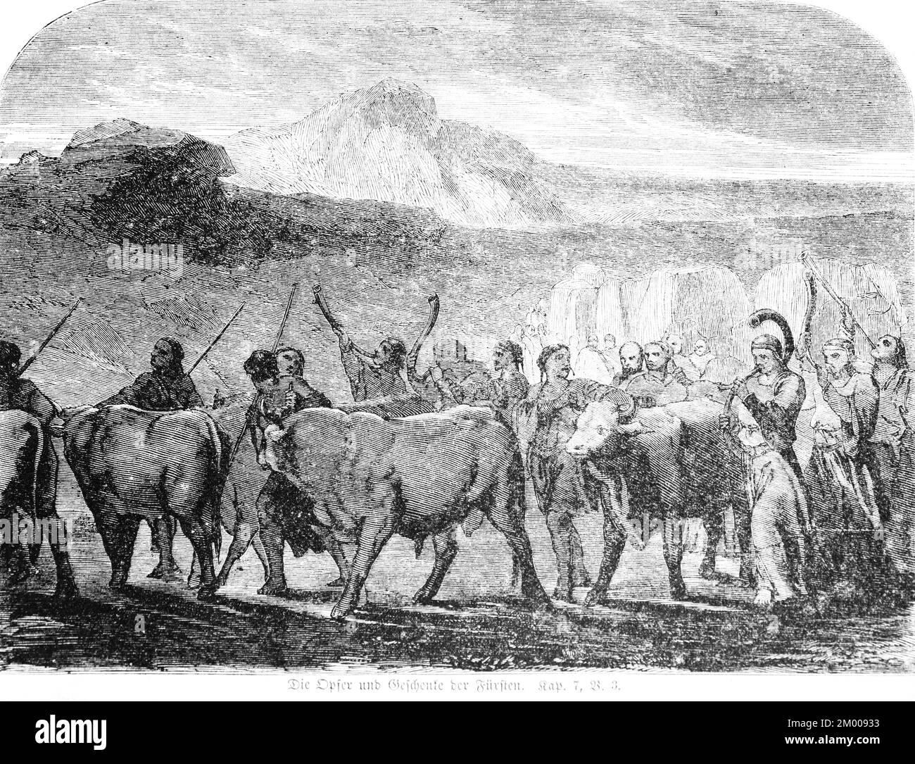 The sacrifices and the gifts of the princes, six chariots, twelve oxen ...