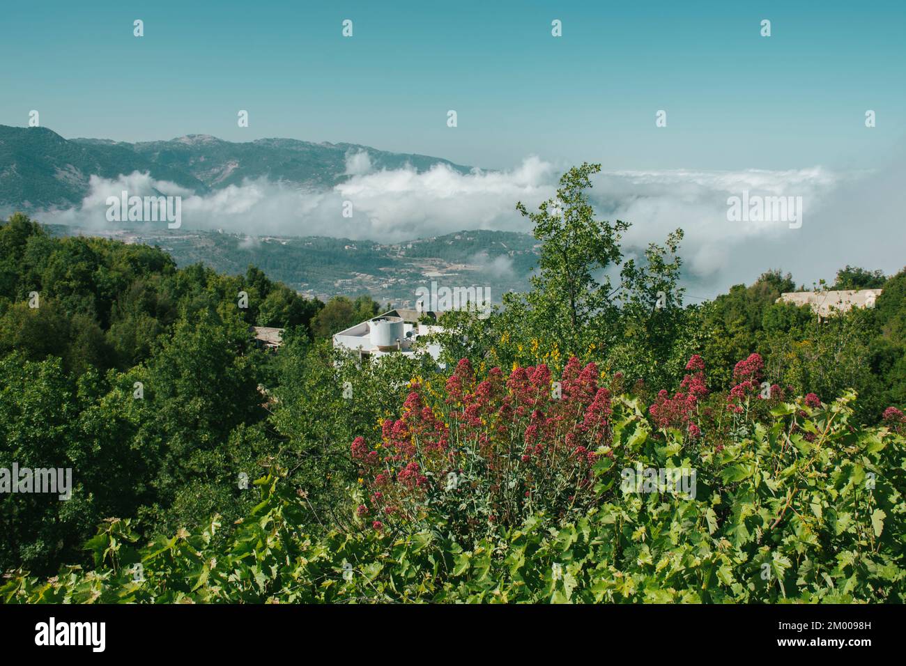 Above the clouds in Mount Lebanon Stock Photo - Alamy