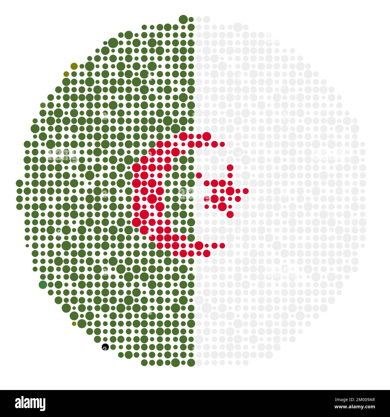 Algeria Map Silhouette Pixelated generative pattern illustration Stock ...