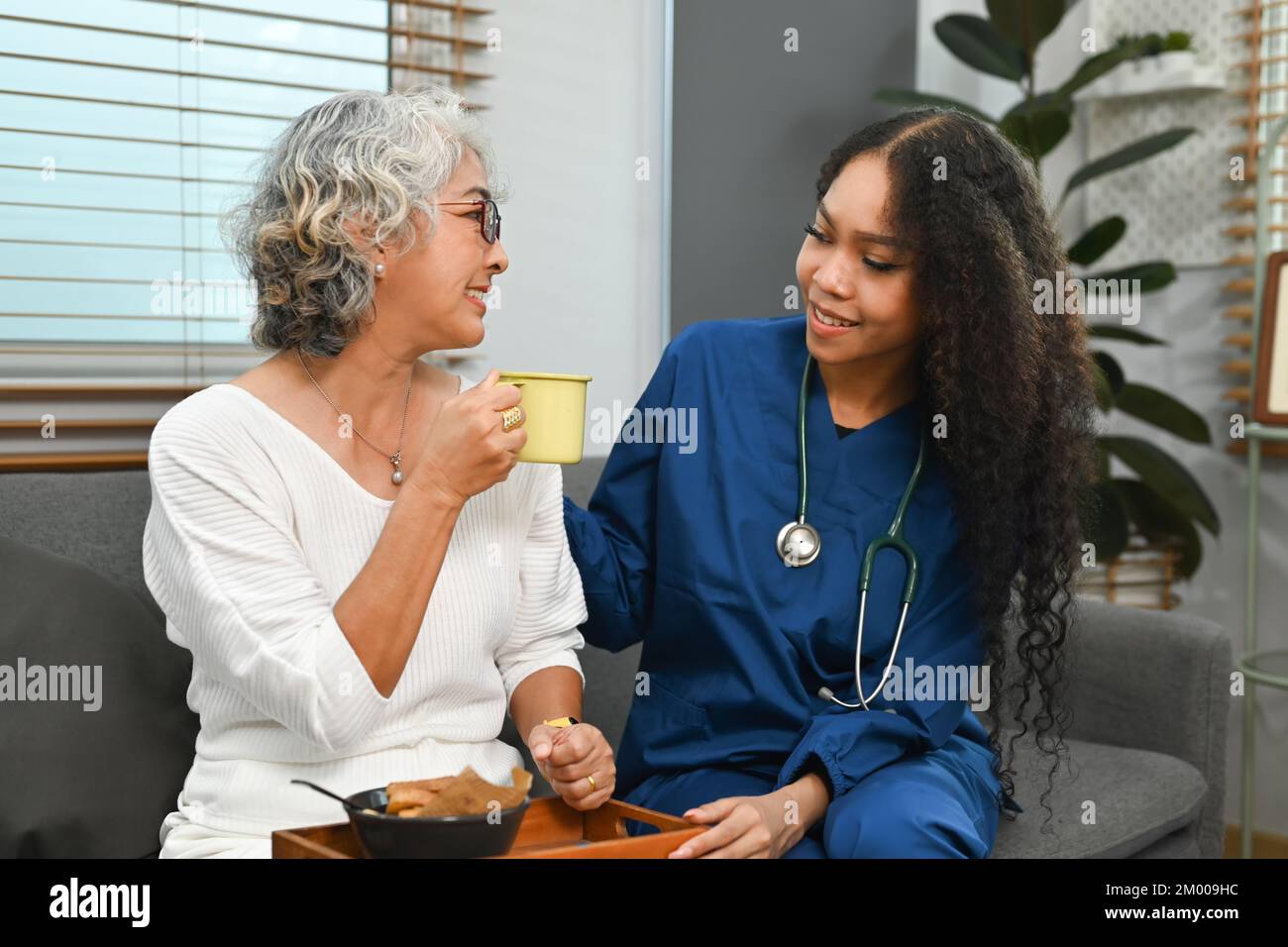Positive female health visitor talking, giving advice to elderly woman ...