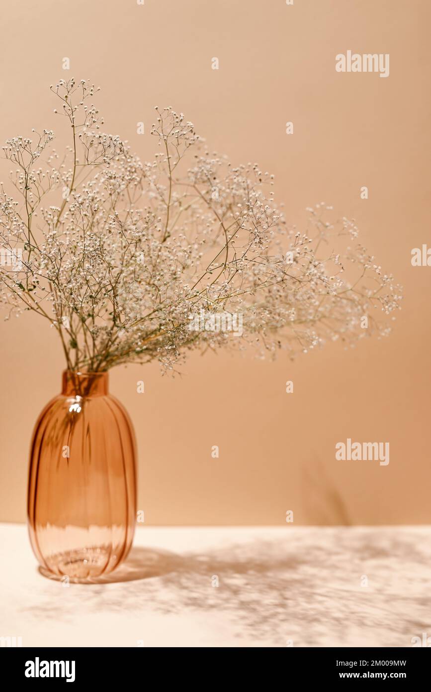 Branches of a dry fragile plant in a glass vase. Beige background with ...