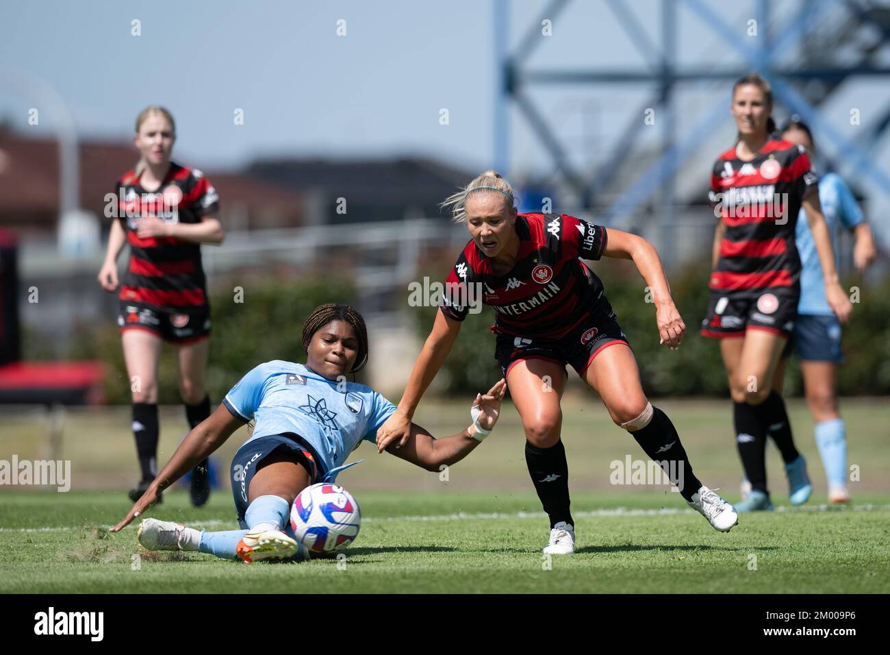 Haley madison hi-res stock photography and images - Alamy