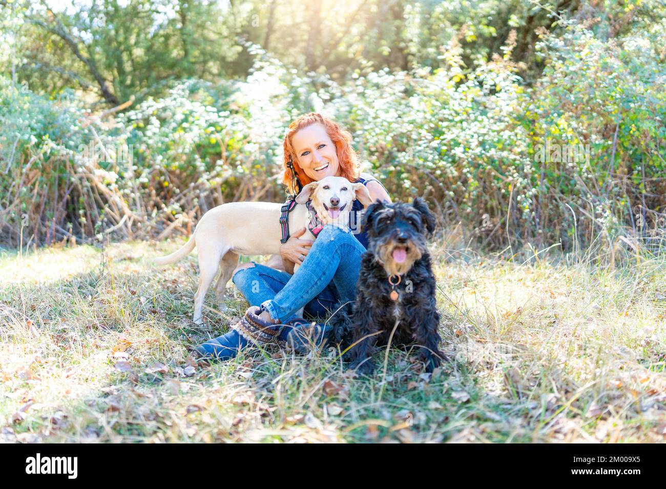 Woman embracing two dogs sitting in a field Stock Photo - Alamy
