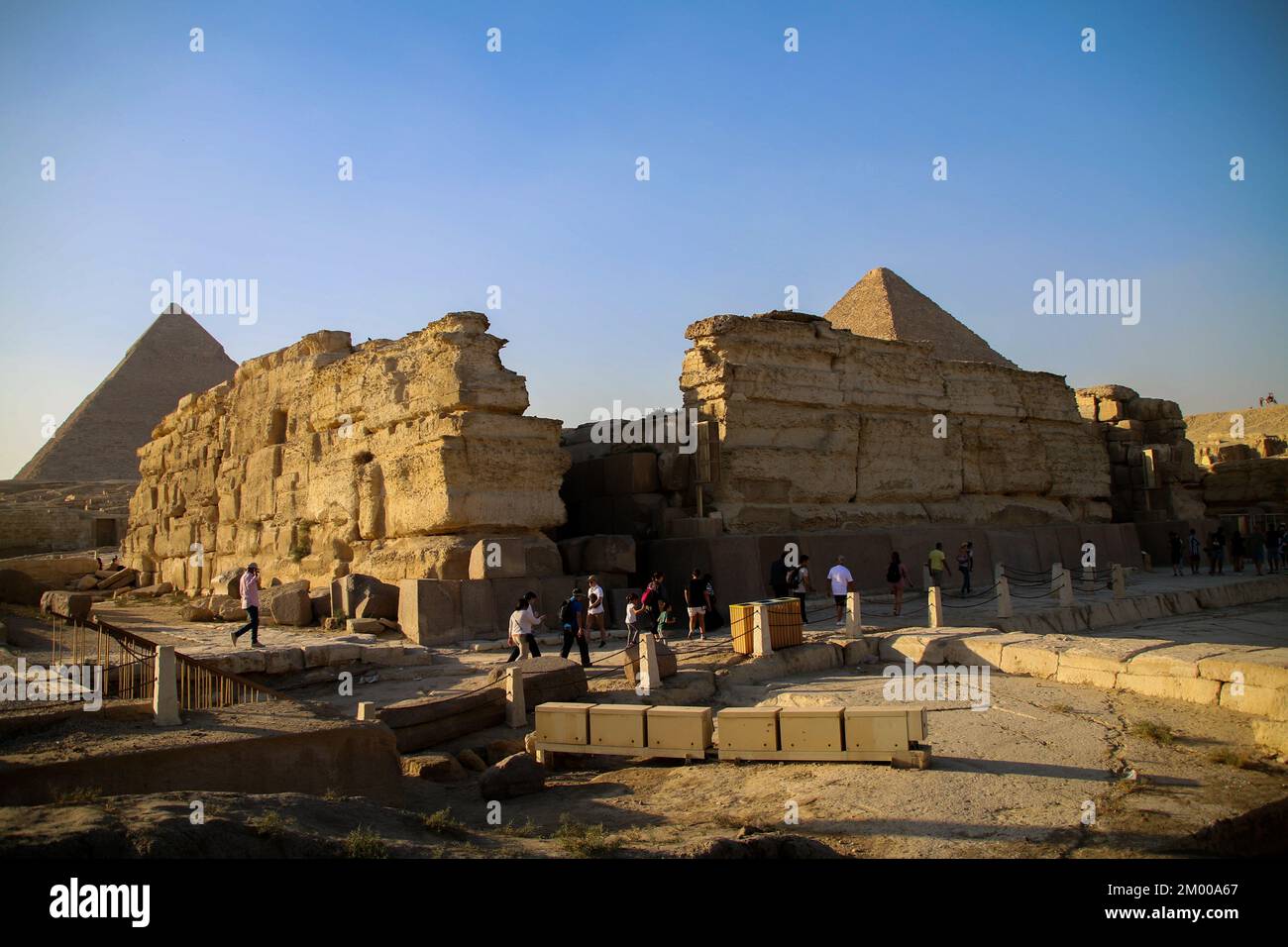Giza, Greater Cairo, Egypt. 1st Dec, 2022. Giza, Egypt. 01 December ...