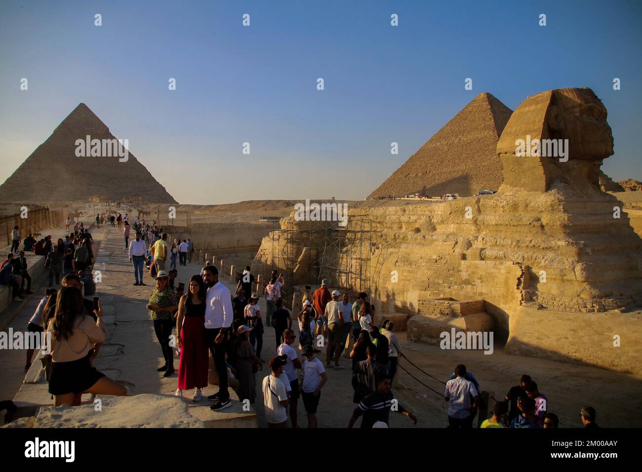 Giza, Greater Cairo, Egypt. 1st Dec, 2022. Giza, Egypt. 01 December ...