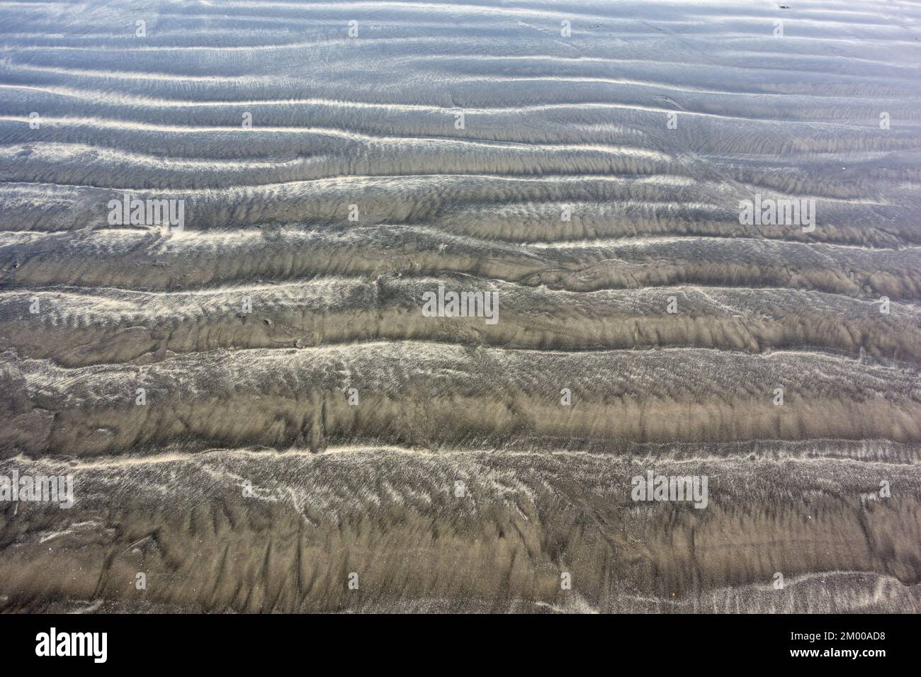 Mud patterns on beach hi-res stock photography and images - Alamy