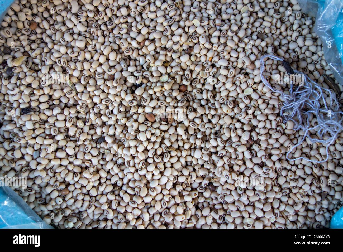 pale black and white beans from West Africa Stock Photo - Alamy