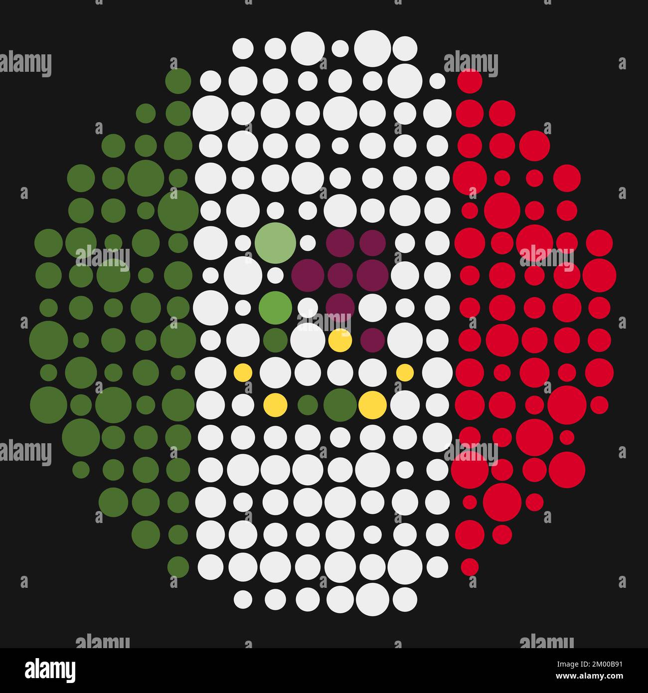 Mexico Map Silhouette Pixelated generative pattern illustration Stock ...