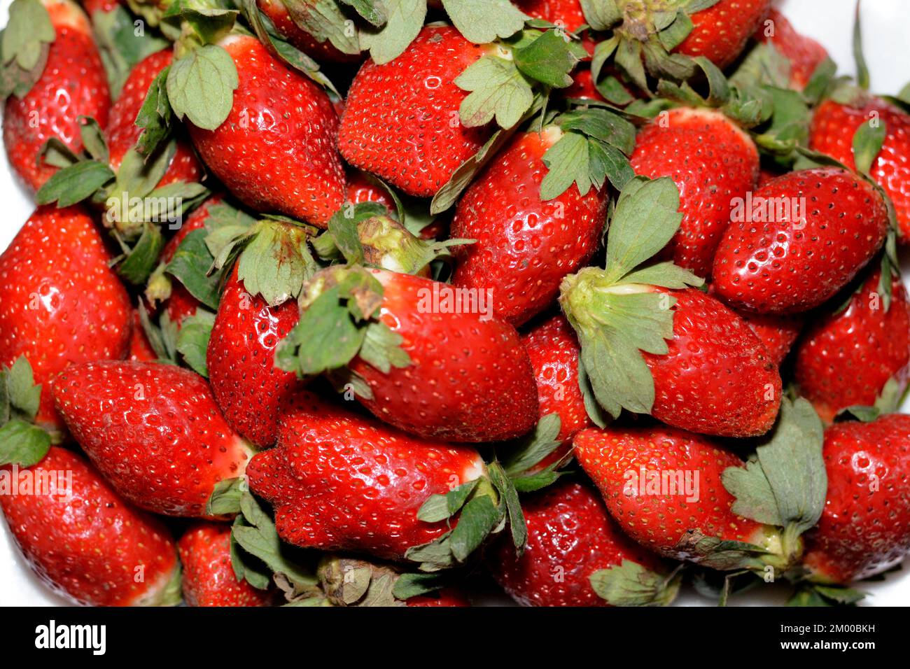 Pile of fresh strawberries fruit, the garden strawberry is a widely ...