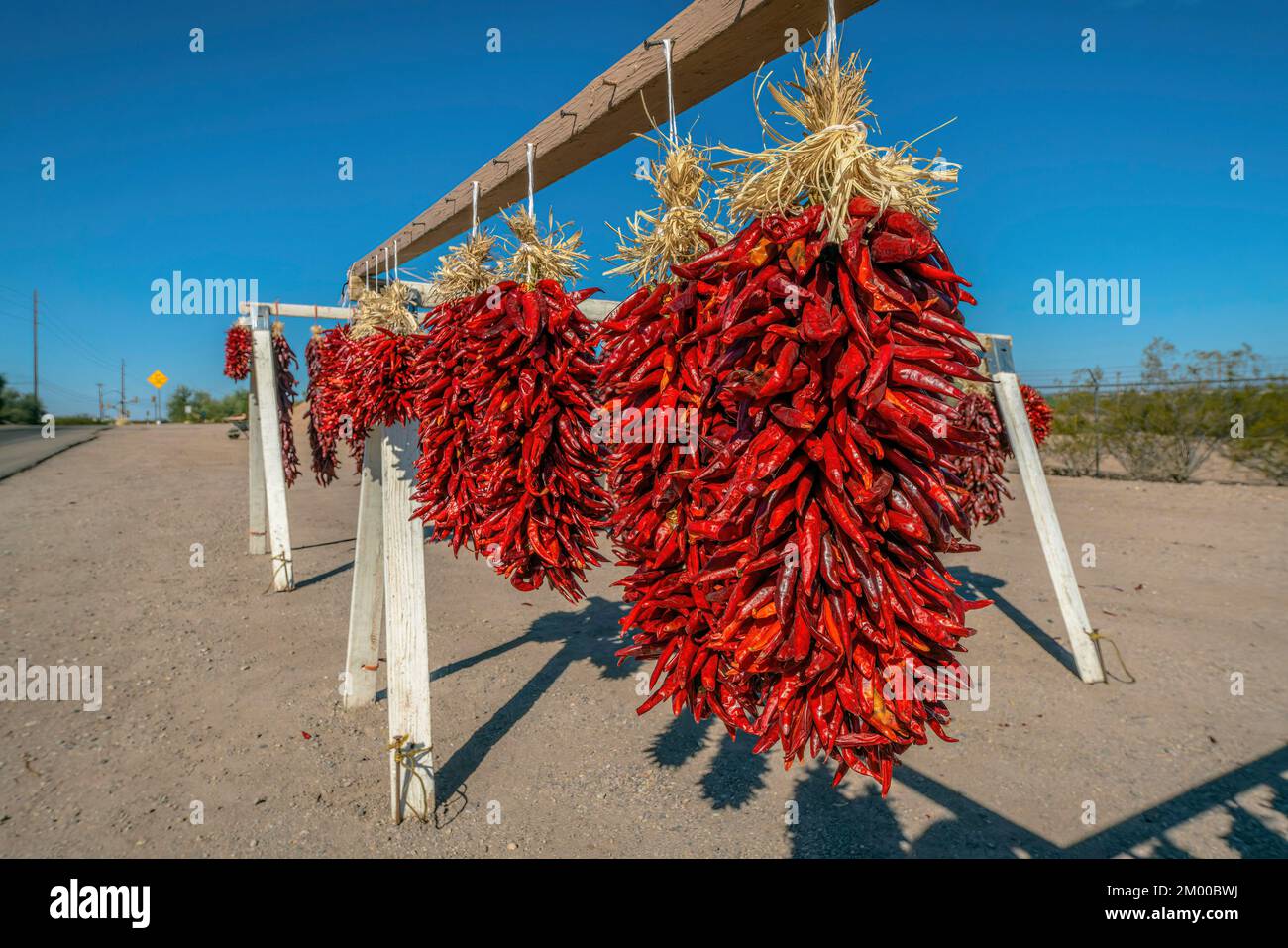 Hanging string chili peppers for sale on the side of the road at Tucson ...