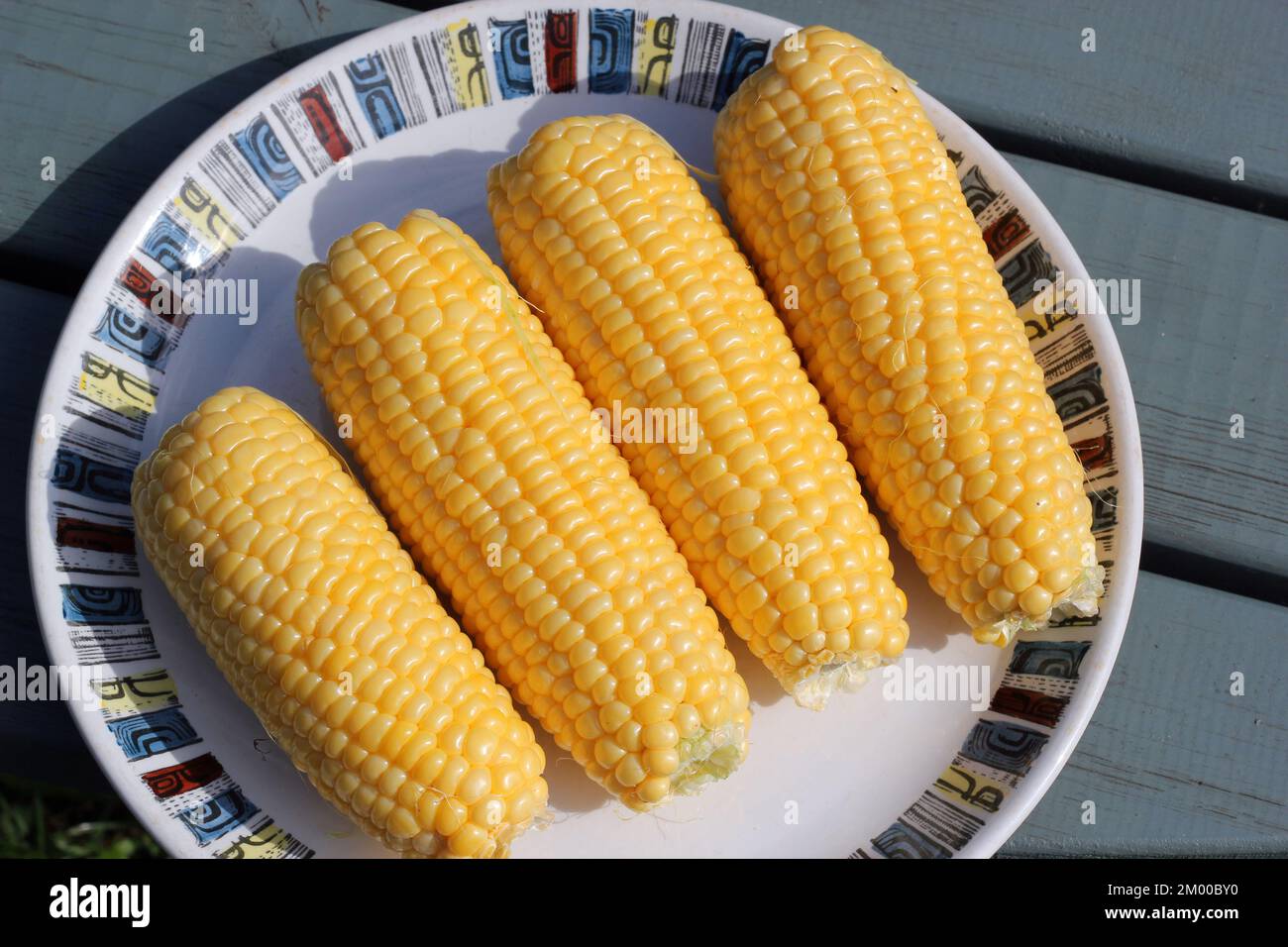Corn on the cob. Four whole corn cobs on a plate Stock Photo - Alamy