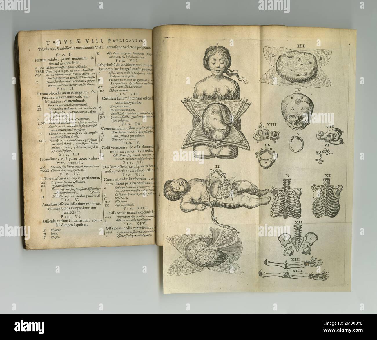 Weathered and yellowed edical journal. An old anatomy book with its ...