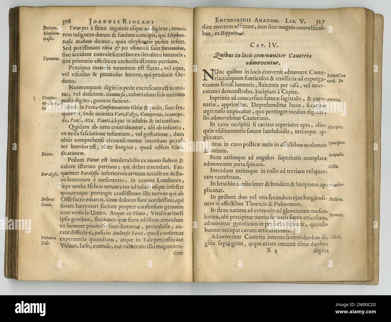 Worn old book pages of a Latin journal. An old book with its pages on ...