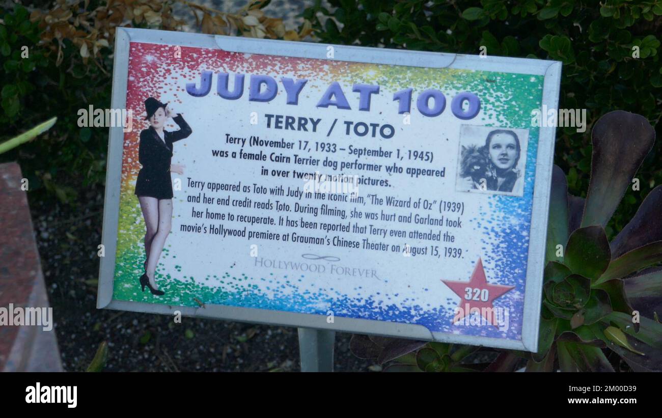 Los Angeles, California, USA 18th October 2022 A general view of ...