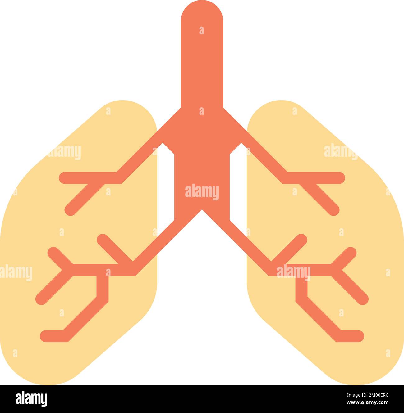 Digital visualization human anatomy Stock Vector Images - Alamy