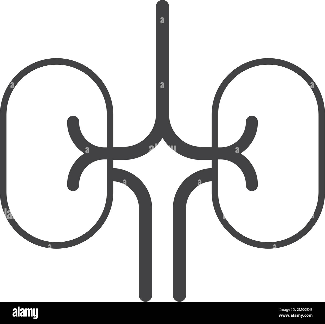 Endocrine system illustration Stock Vector Images - Alamy