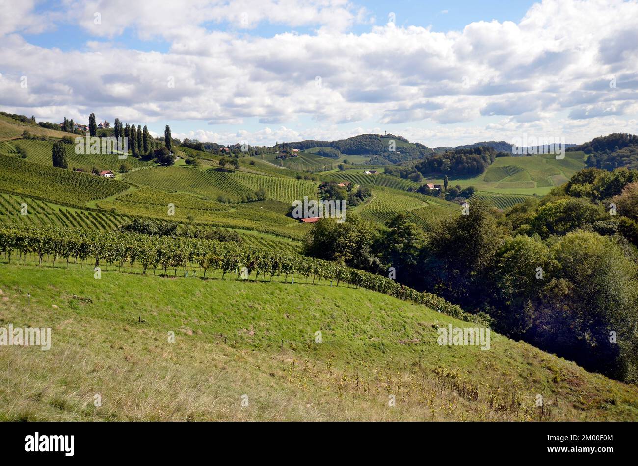 Sulz valley hi-res stock photography and images - Alamy