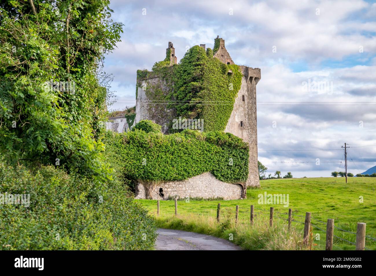 Deel castle, in Irish Caislean na Daoile, was built in the 16th century ...